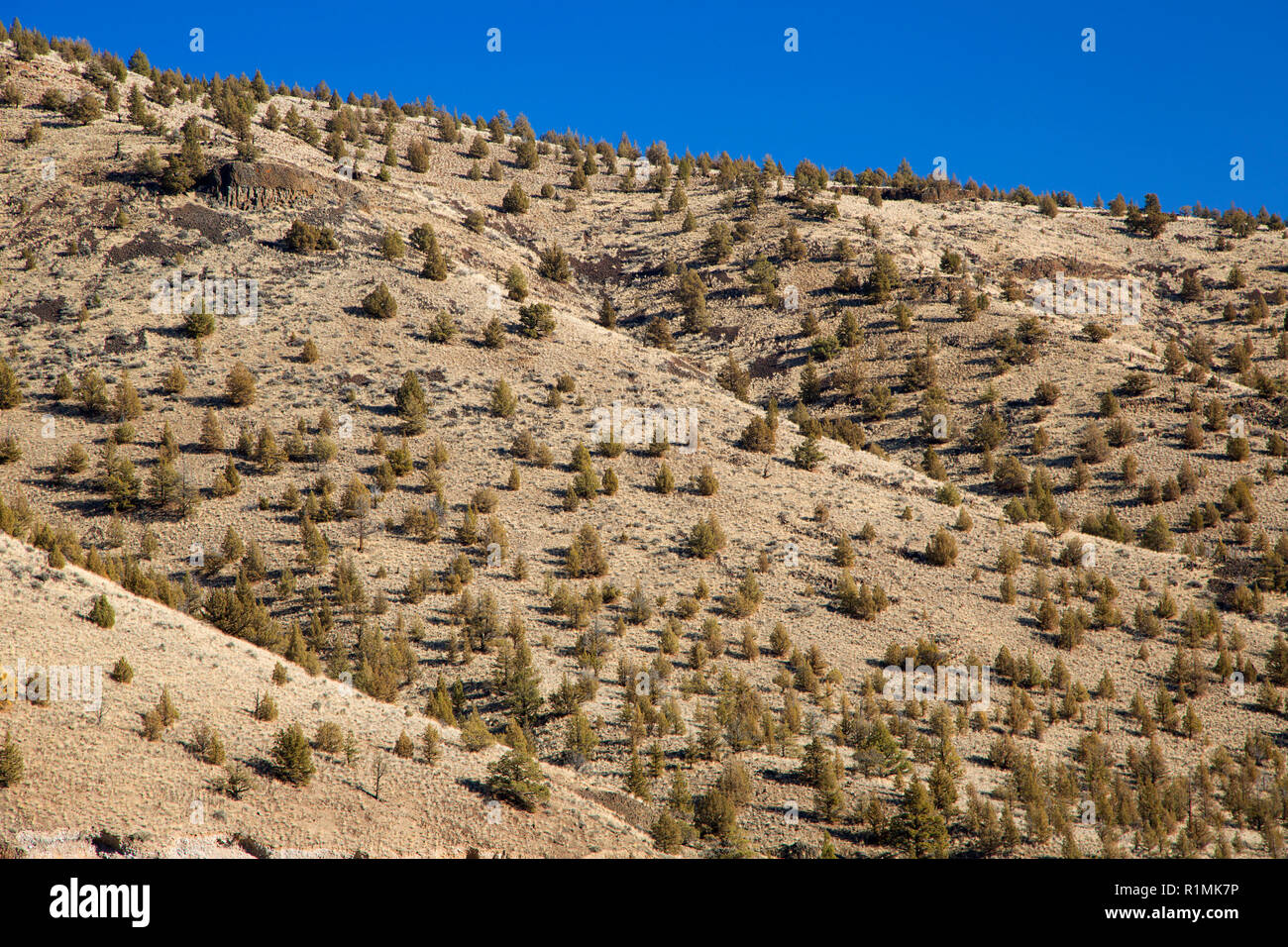 Grassland slope hi-res stock photography and images - Alamy