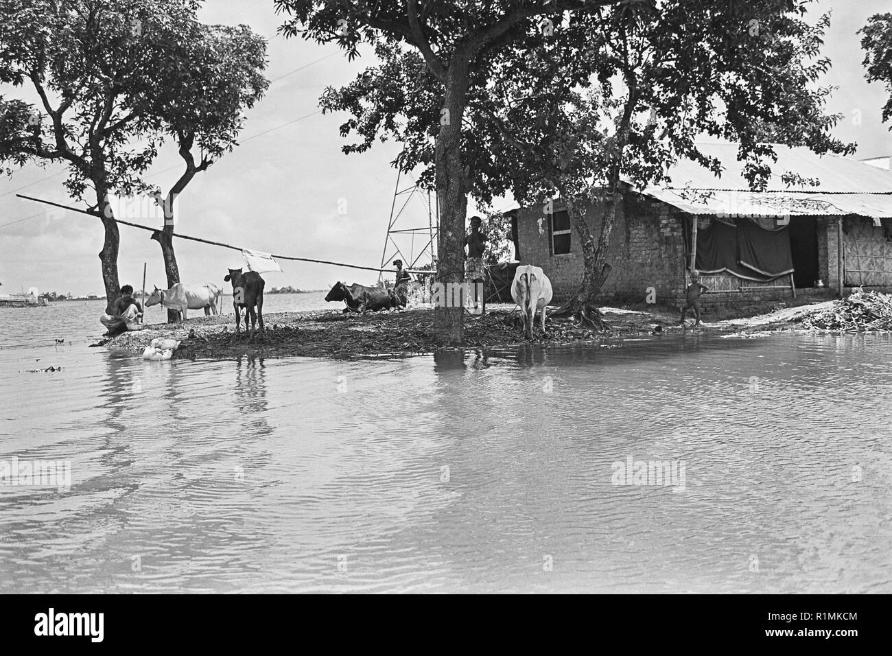 Flood Black And White