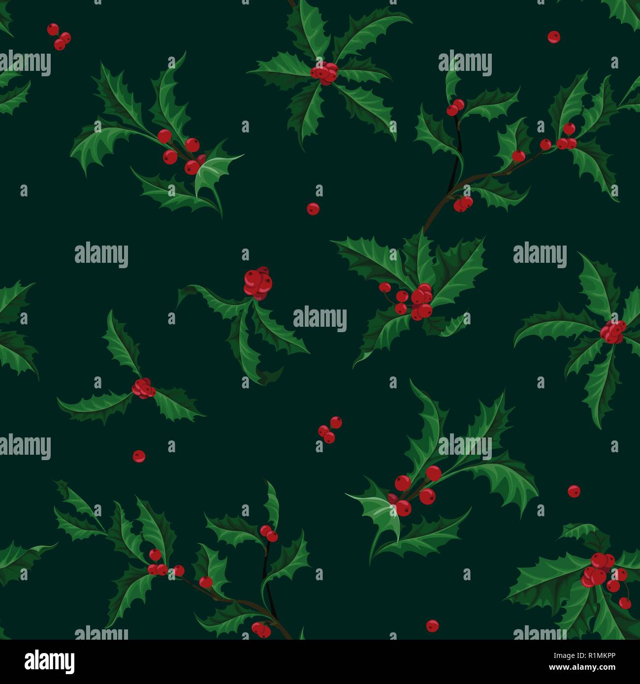 Christmas Holly vector seamless pattern of Christmas plant. Holiday ...