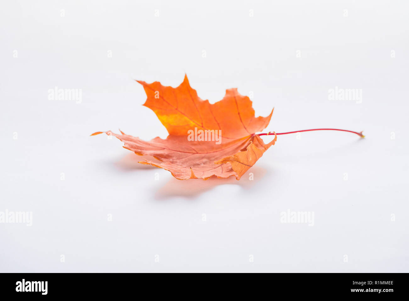 One fallen hi-res stock photography and images - Alamy