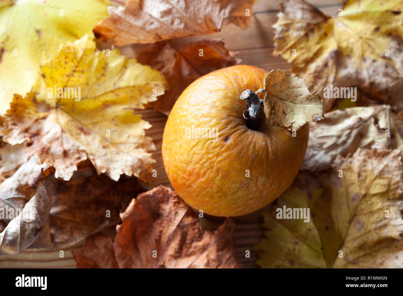 Wrinkled apple hi-res stock photography and images - Alamy