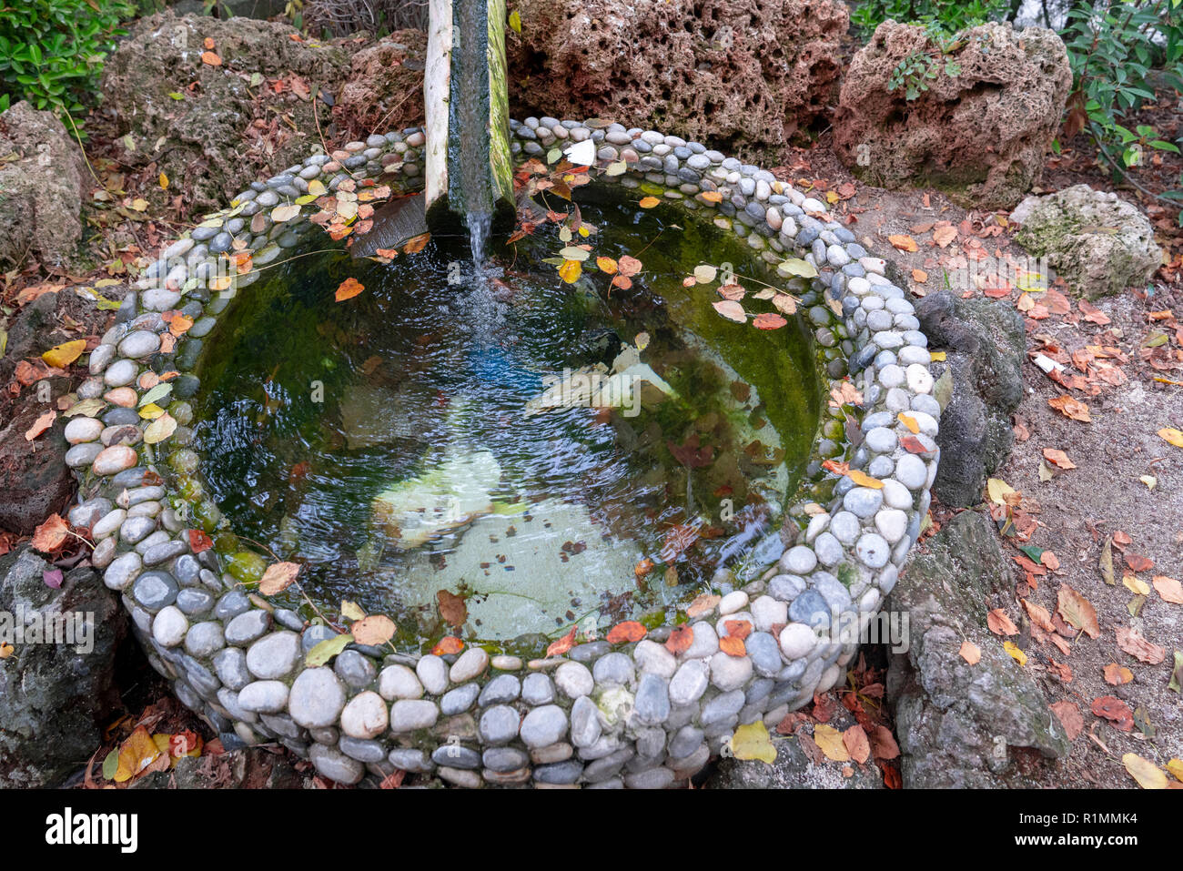 Circle decorative pond with pebble wall and water coming on wood pipe ...