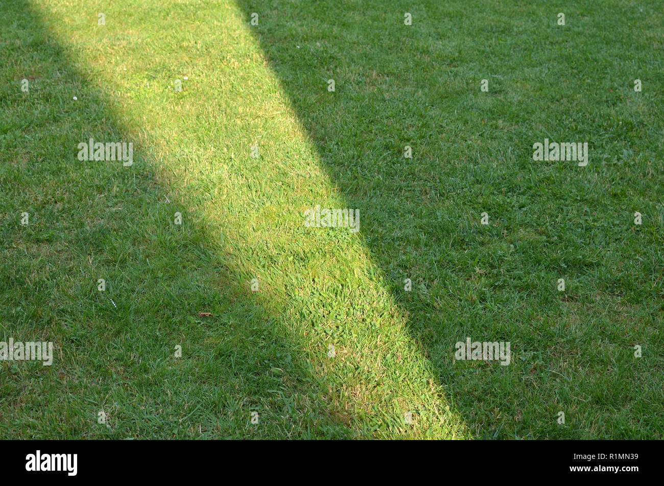 Green grass of a garden lawn with sunlight of a geometric form ...