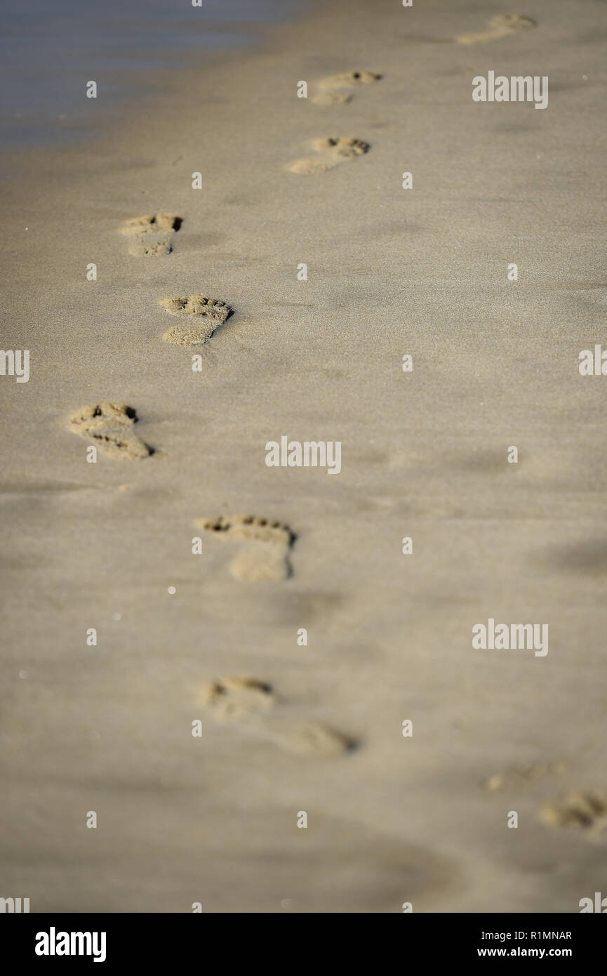 Detail shot with man footprints in the sand on a beach Stock Photo - Alamy