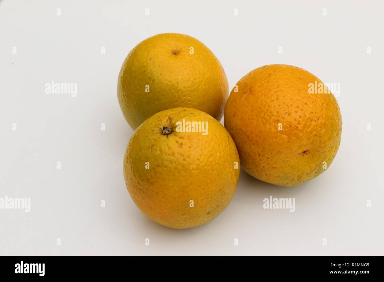 Feed On Fruit Juice High Resolution Stock Photography and Images - Alamy