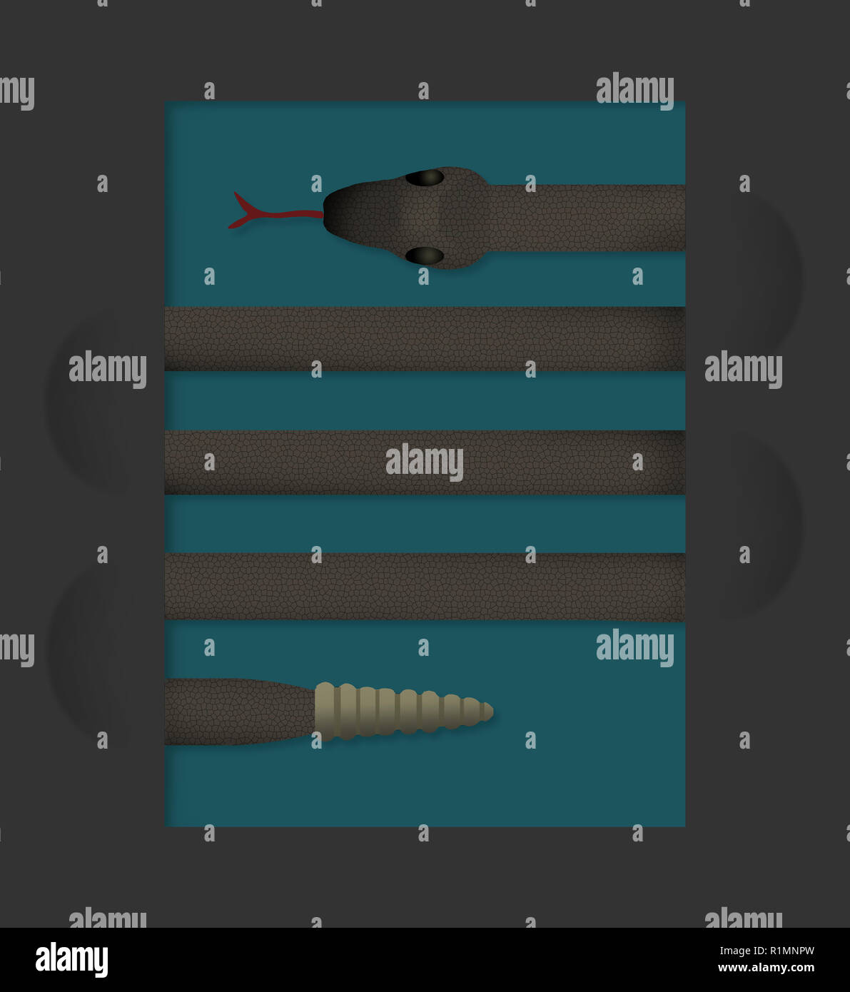 A snake looks like lines on a page in this interesting look at serpents ...