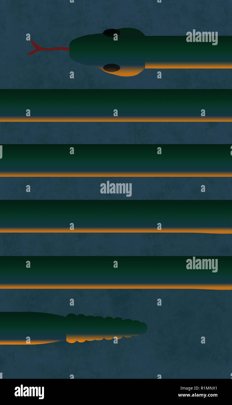 A snake looks like lines on a page in this interesting look at serpents ...