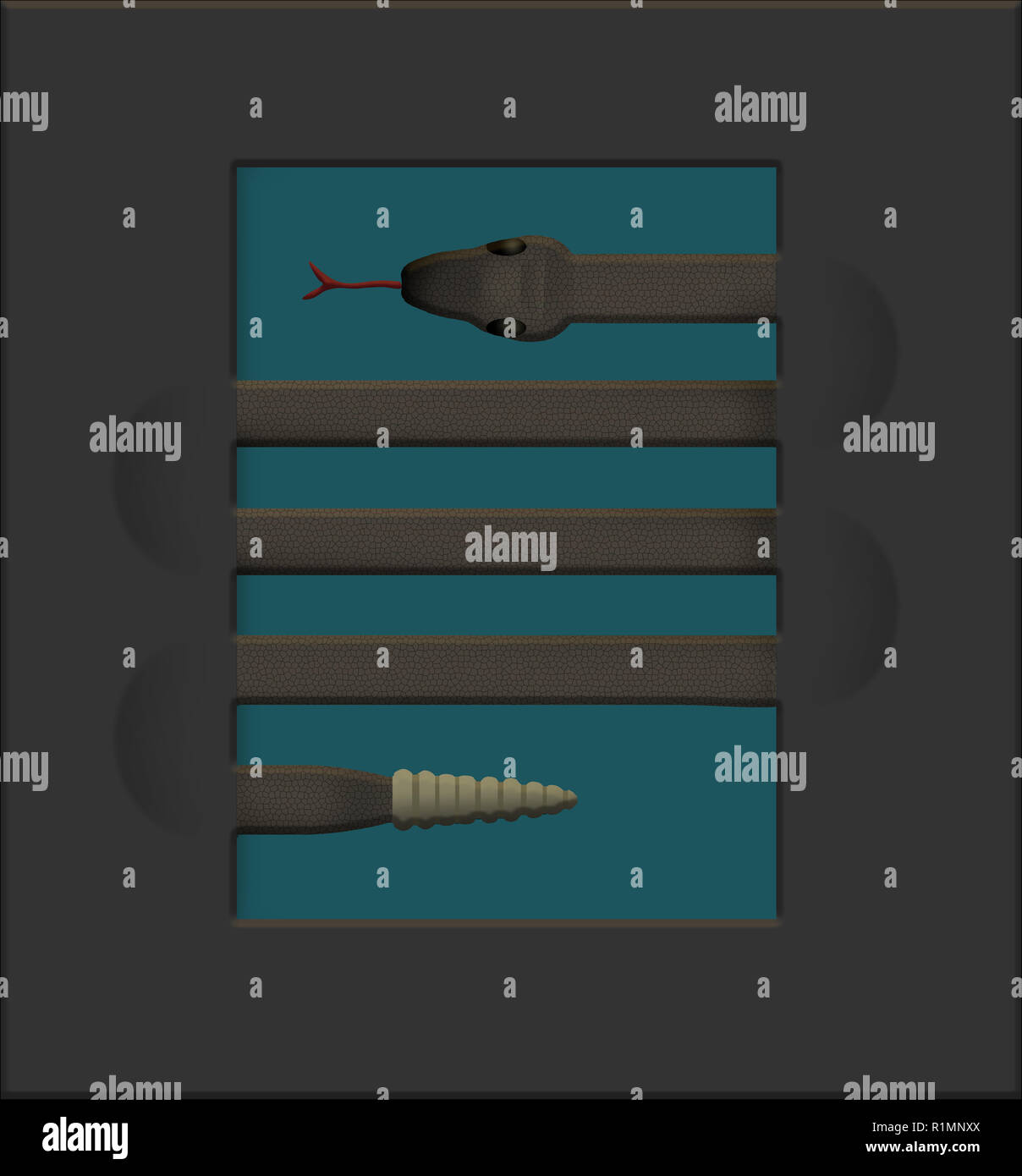 A snake looks like lines on a page in this interesting look at serpents ...