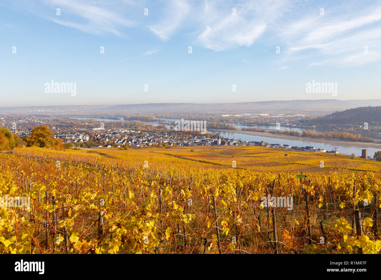 Rheingau hesse vineyards hi-res stock photography and images - Alamy