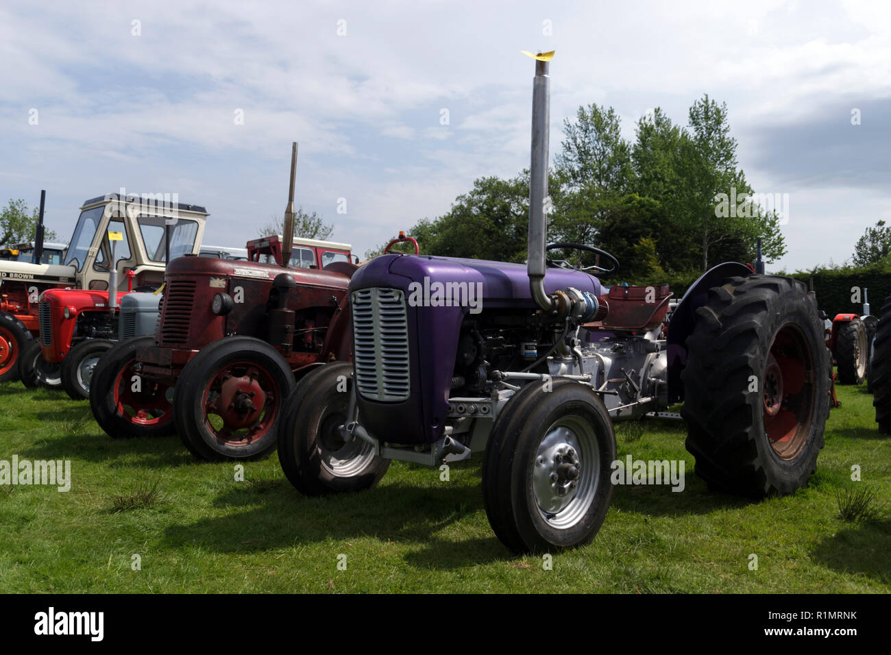 Purple tractor hi-res stock photography and images - Alamy