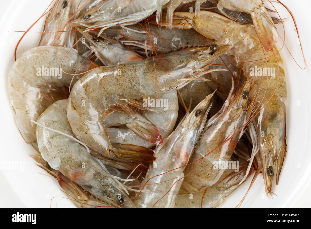 Shrimp on plate close hi-res stock photography and images - Alamy