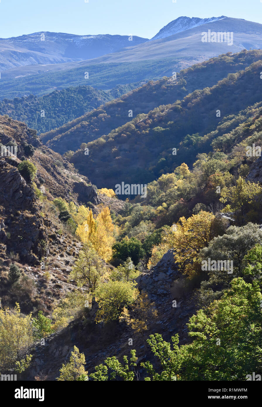 valley of the river Genil in the path of the Sierra Nevada Stock Photo ...