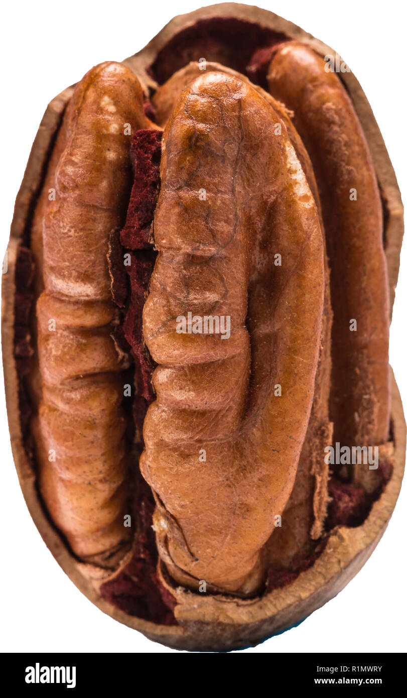 pecan nut in half shell Stock Photo - Alamy