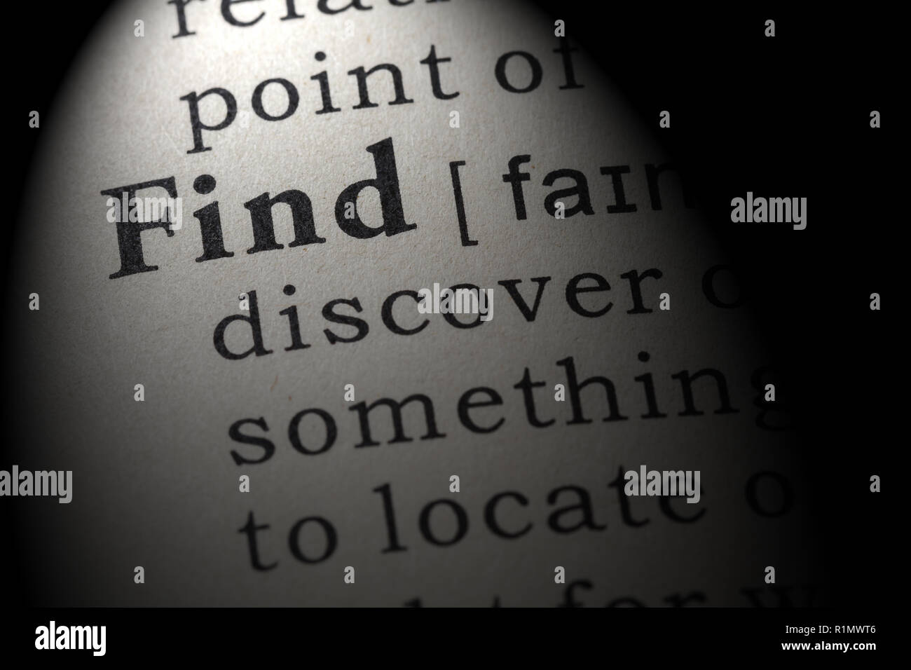 Fake Dictionary, Dictionary definition of the word find . including key ...
