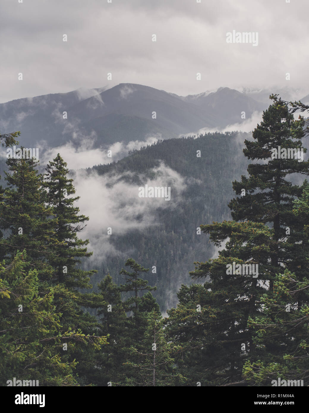 City of elk ridge hi-res stock photography and images - Alamy