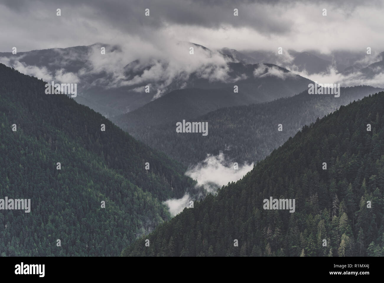 City of elk ridge hi-res stock photography and images - Alamy