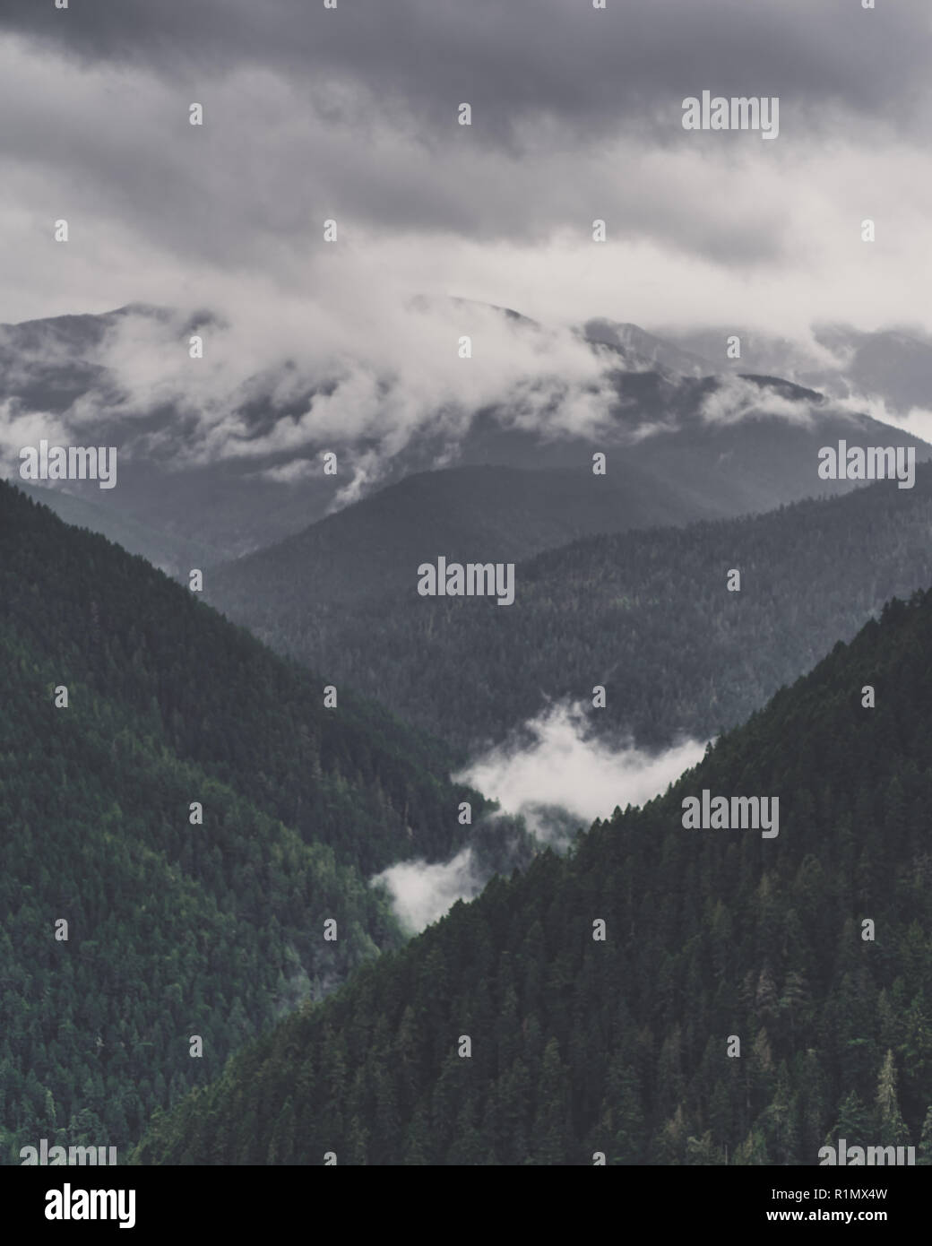 Ruby ridge hi-res stock photography and images - Alamy