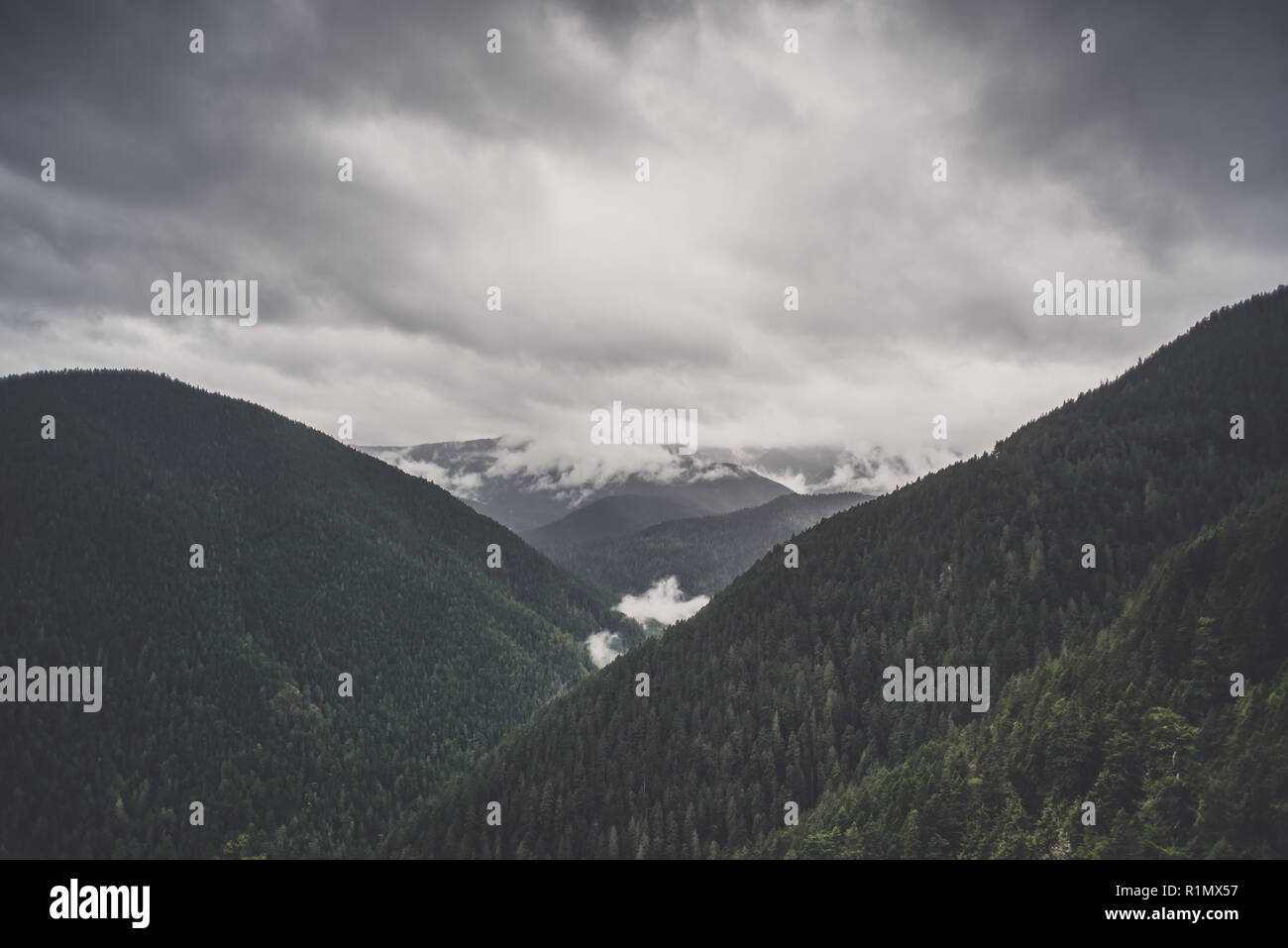City of elk ridge hi-res stock photography and images - Alamy