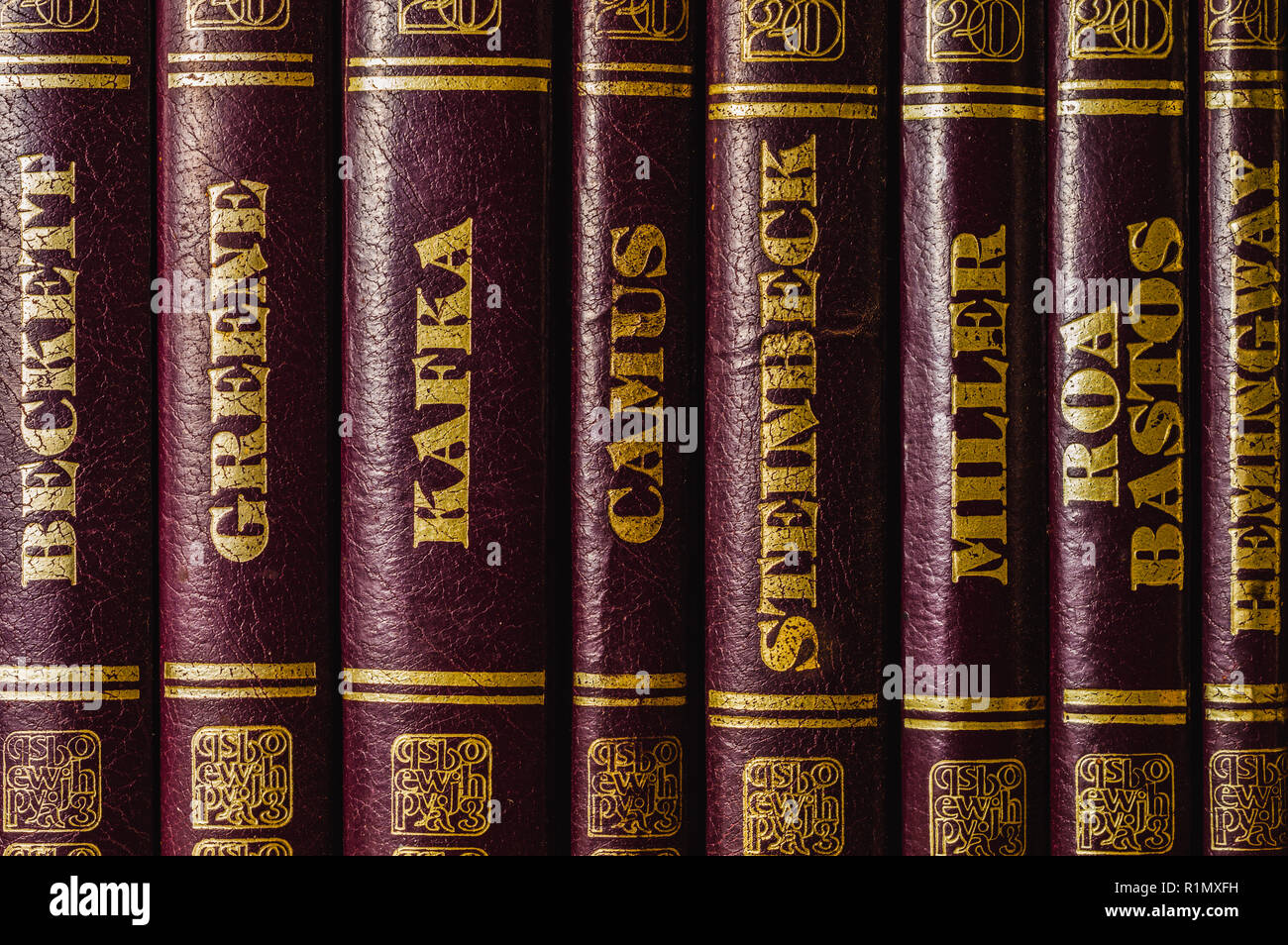 Classic writers' books of the 20th century, room for text Stock Photo ...