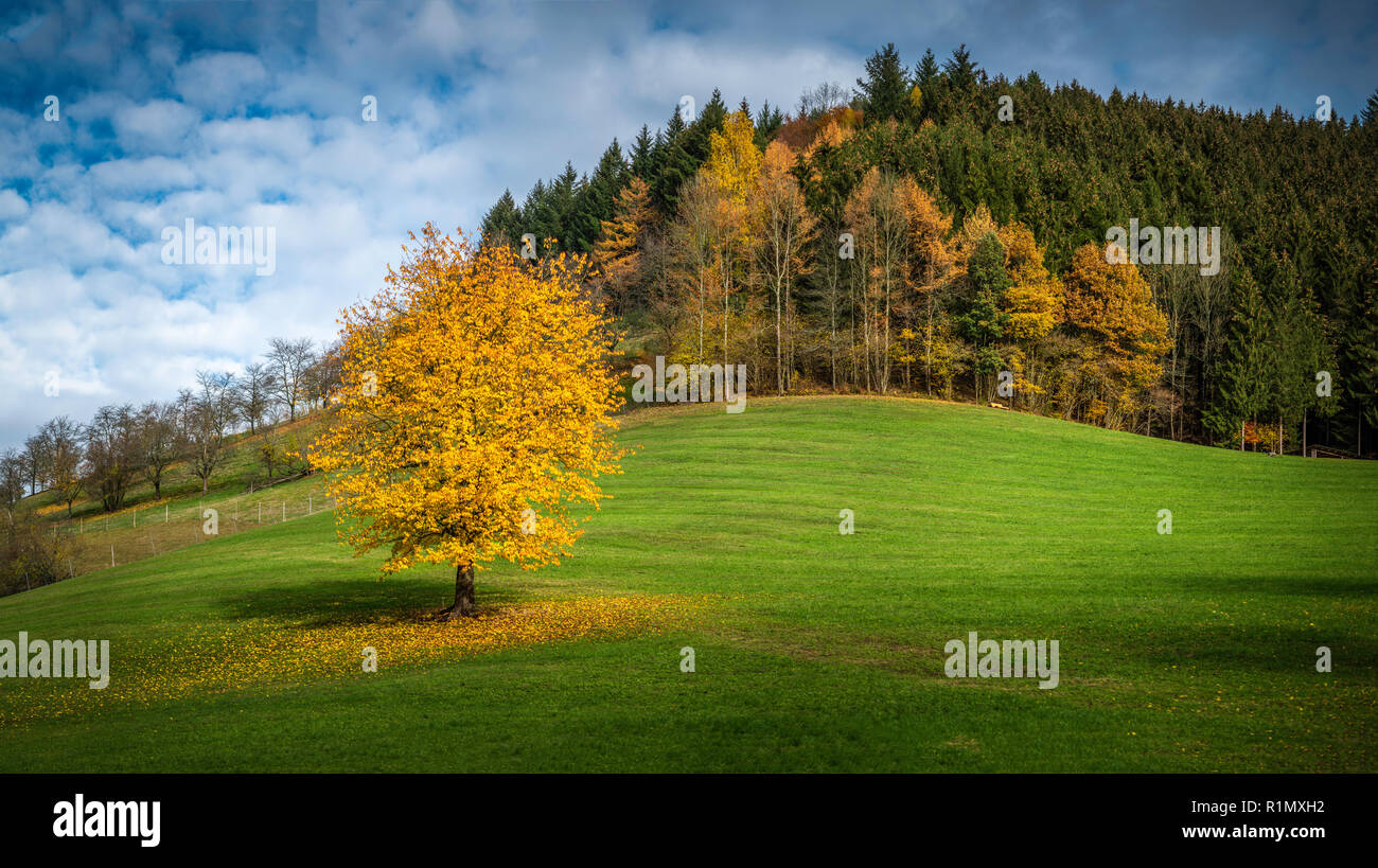 Landscape travel tourism forest wallpaper hi-res stock photography and ...