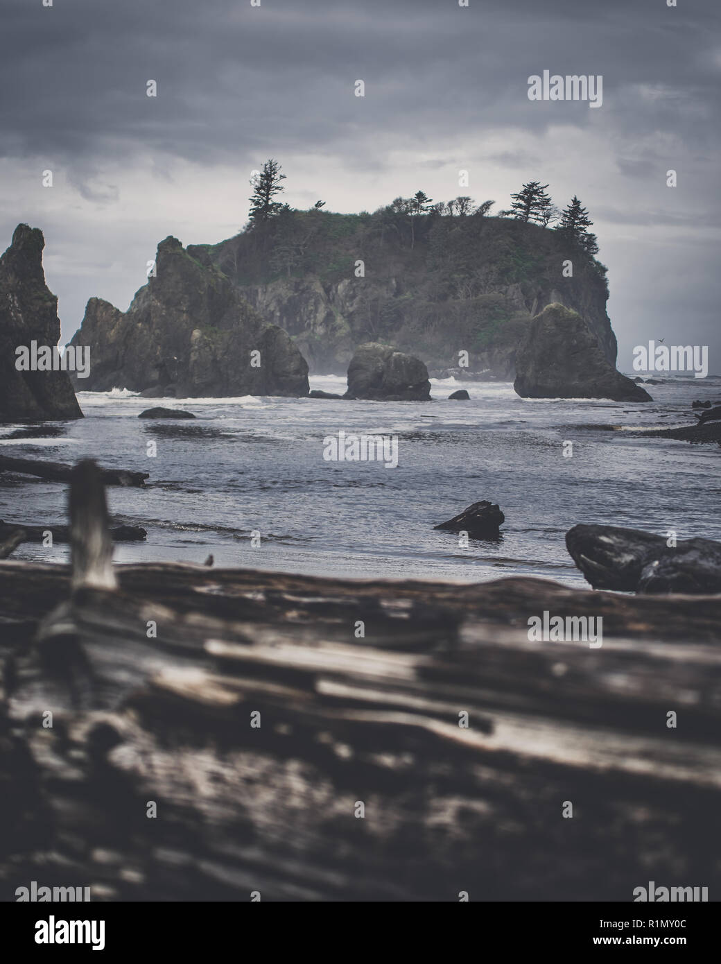 Ruby Beach in Washington Stock Photo - Alamy