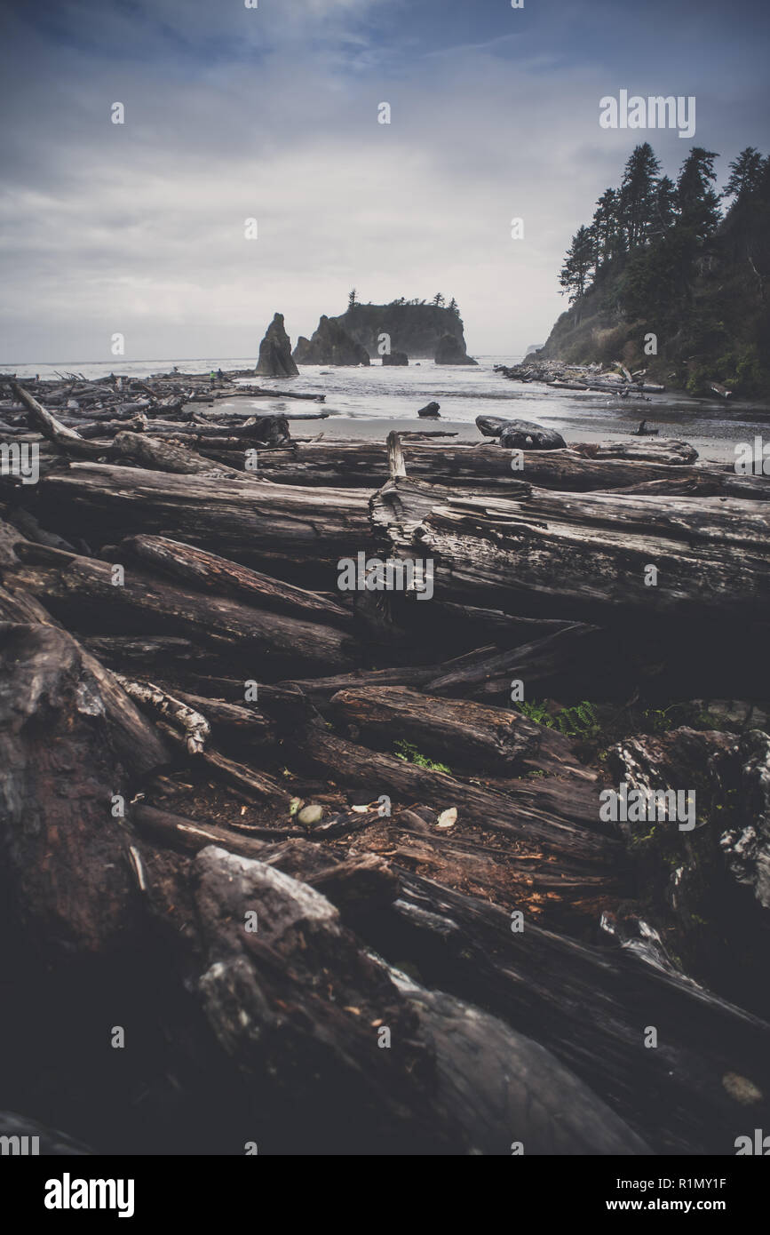 Ruby Beach in Washington Stock Photo - Alamy