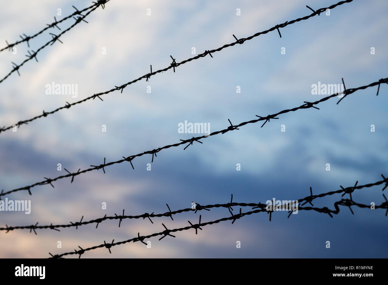 Silhouette barbed wire hi-res stock photography and images - Alamy