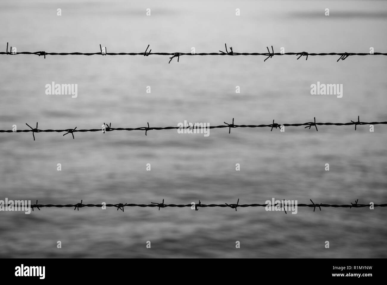 Focused foreground Black and White Stock Photos & Images - Alamy