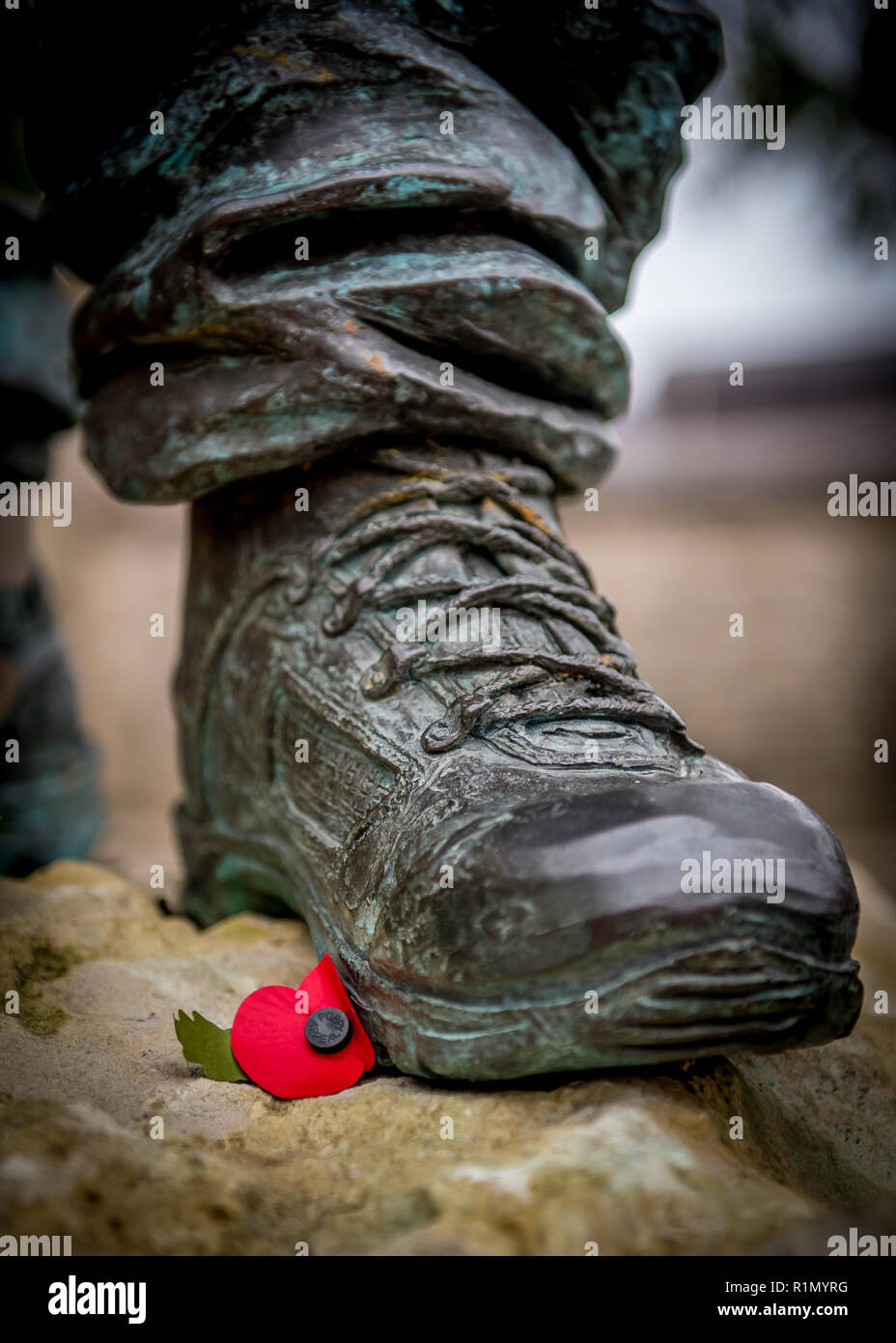 A Poppy left at solider statue memorial in Windsor to mark Armistice ...