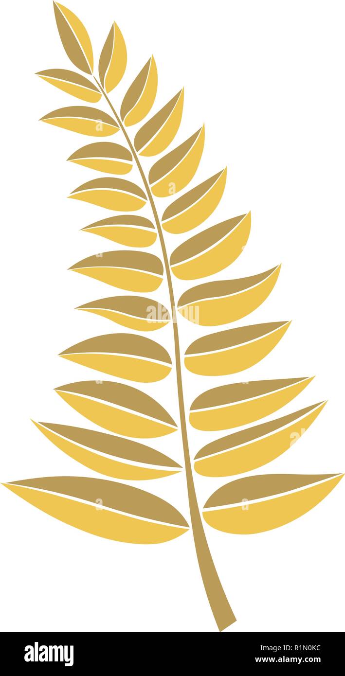 Rye botanical illustration Stock Vector Images - Alamy