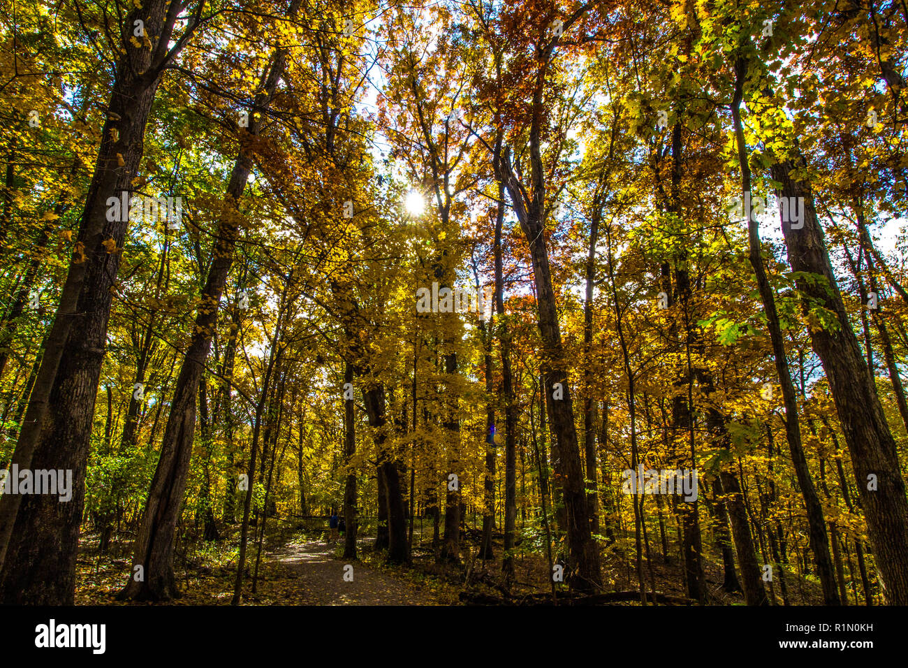 Lewis hollow hi-res stock photography and images - Alamy