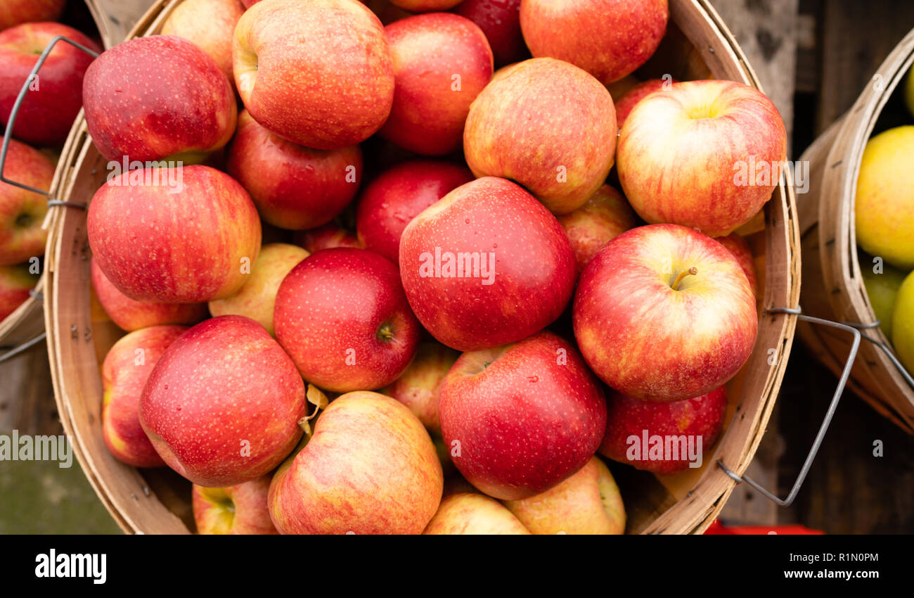 Bushel basket red delicious hi-res stock photography and images - Alamy