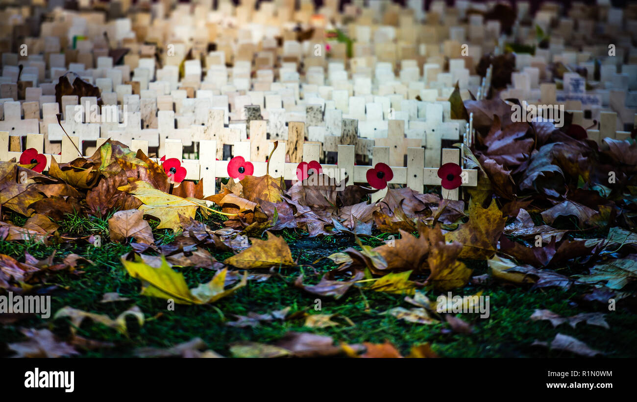 Poppies & wreaths left at memorials to mark Armistice Day & Remembrance ...
