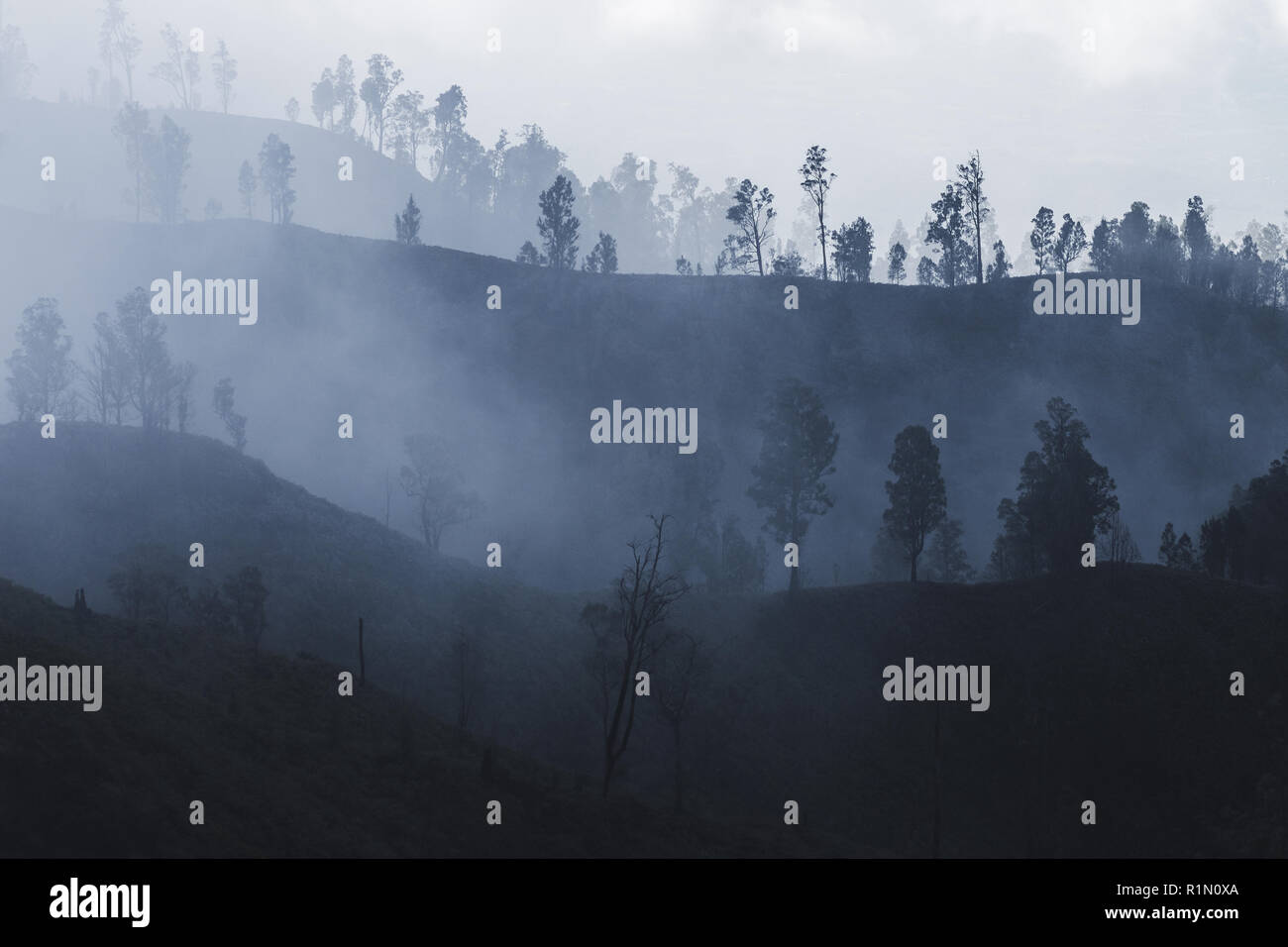 Dangerous trip Inside Ijen volcano crater Stock Photo - Alamy