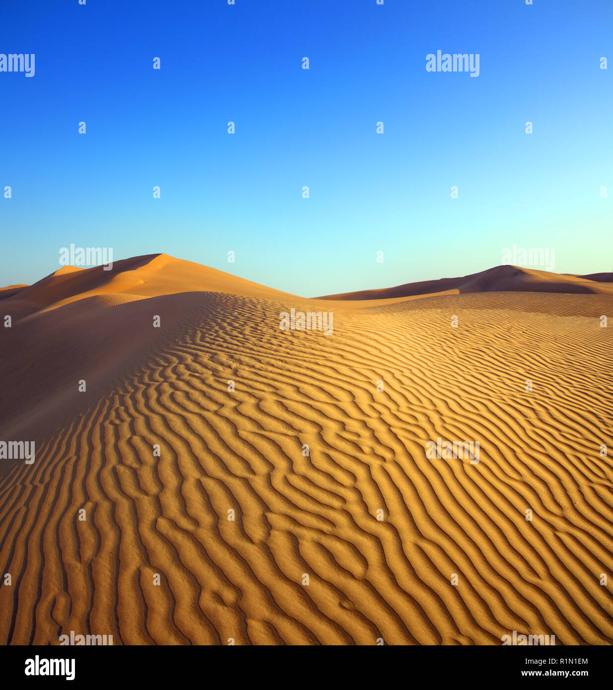 Tar desert hi-res stock photography and images - Alamy