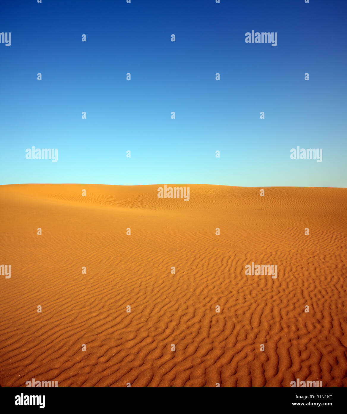 evening desert landscape Stock Photo - Alamy
