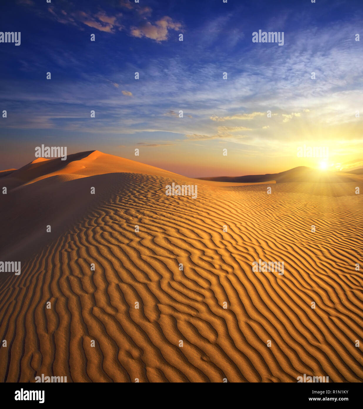 sunset in desert Stock Photo - Alamy