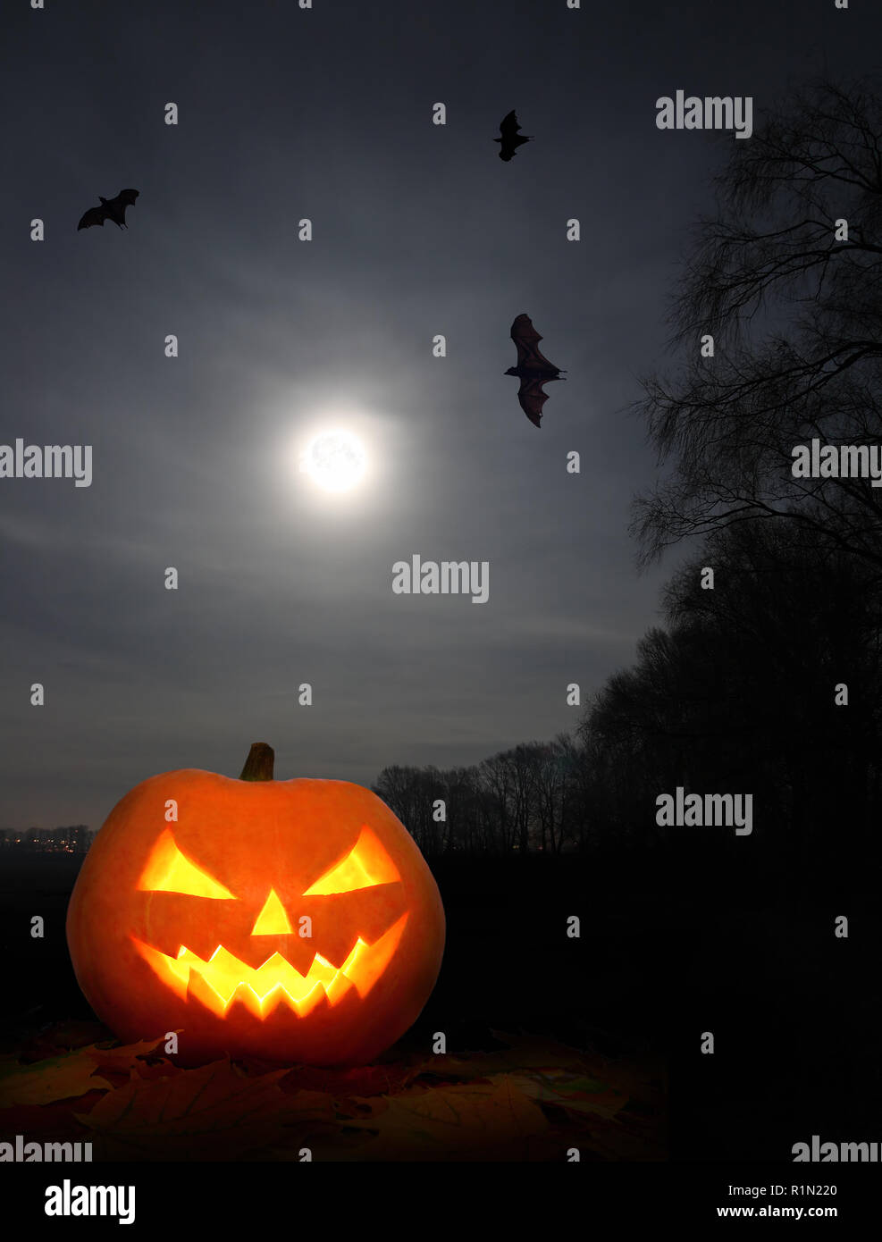 Halloween pumpkin at night Stock Photo - Alamy