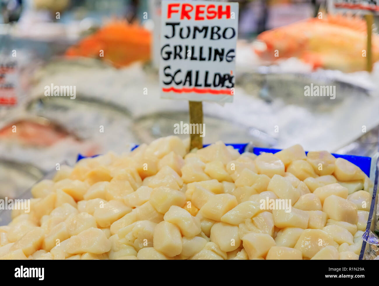 Fresh scallops on ice for sale at Pike Place Market in Seattle ...