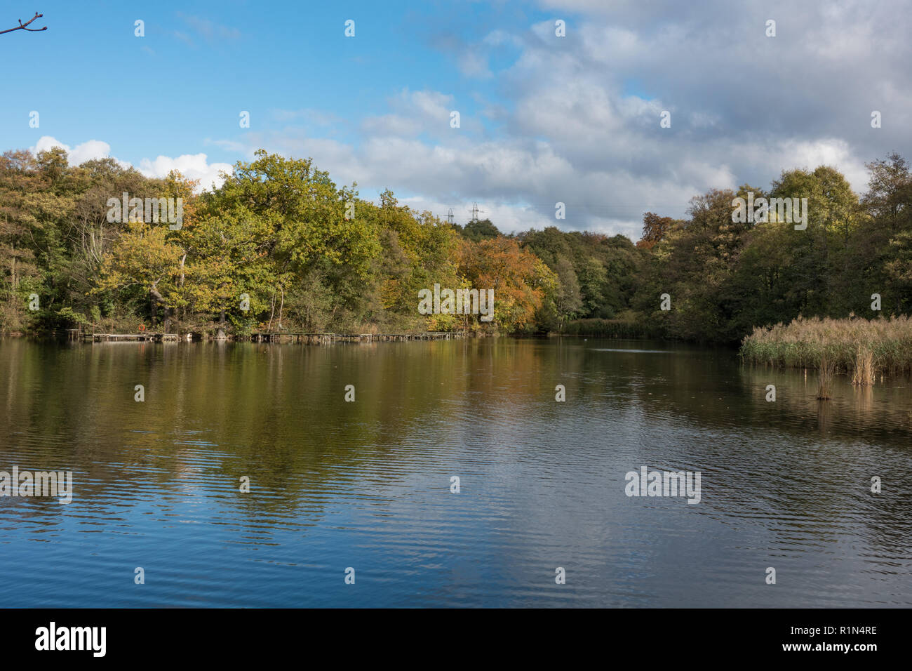 Baggeridge park hi-res stock photography and images - Alamy
