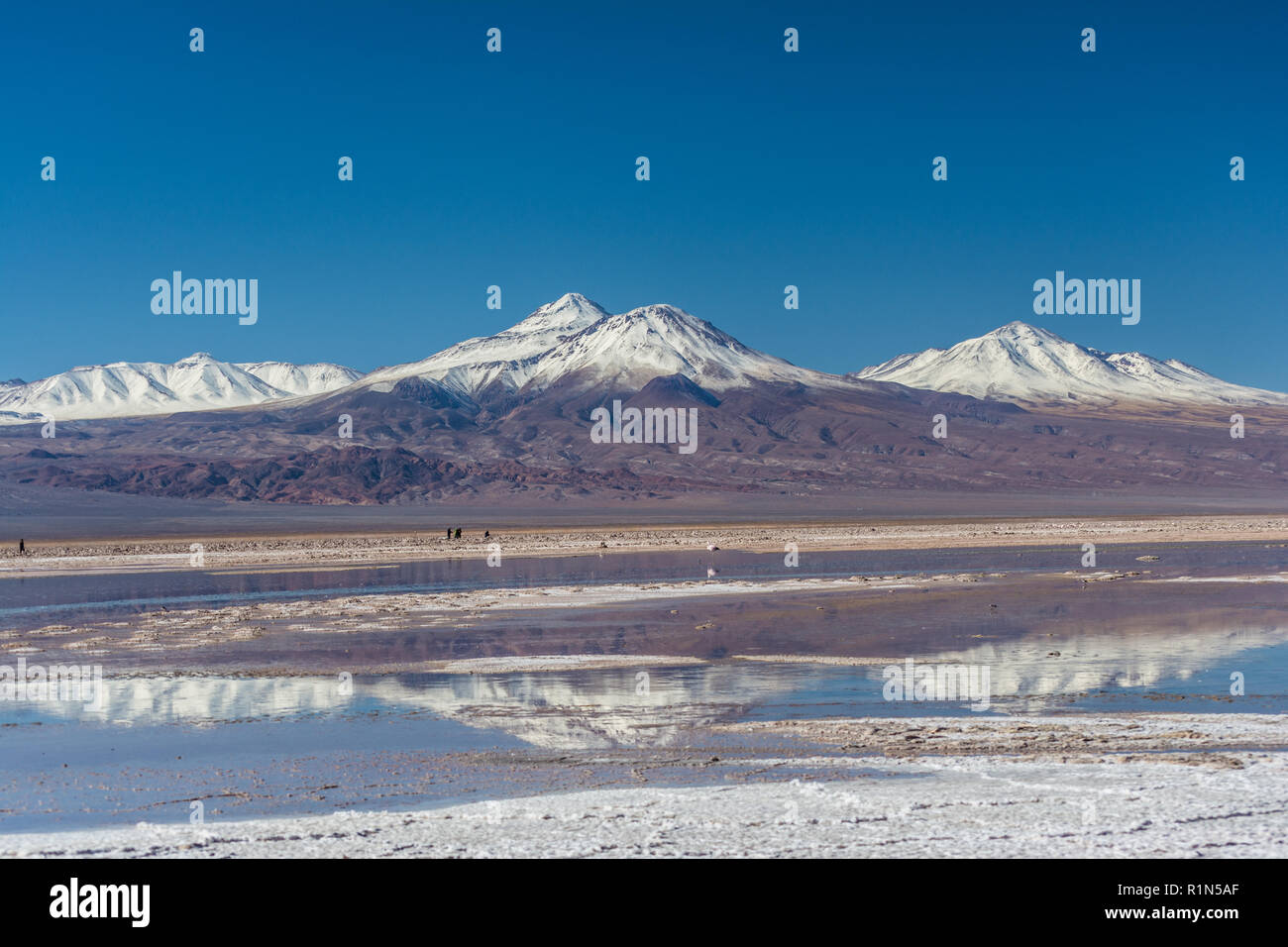 Amazing view of a salt flat in Atacama desert, Chile Stock Photo - Alamy