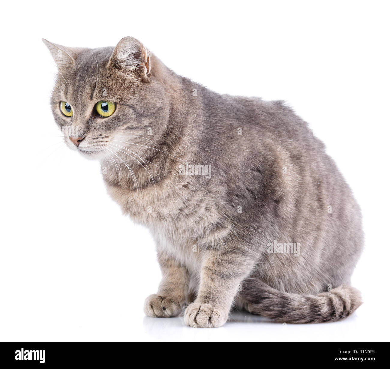 Simple portrait beautiful young Cut Out Stock Images & Pictures - Alamy