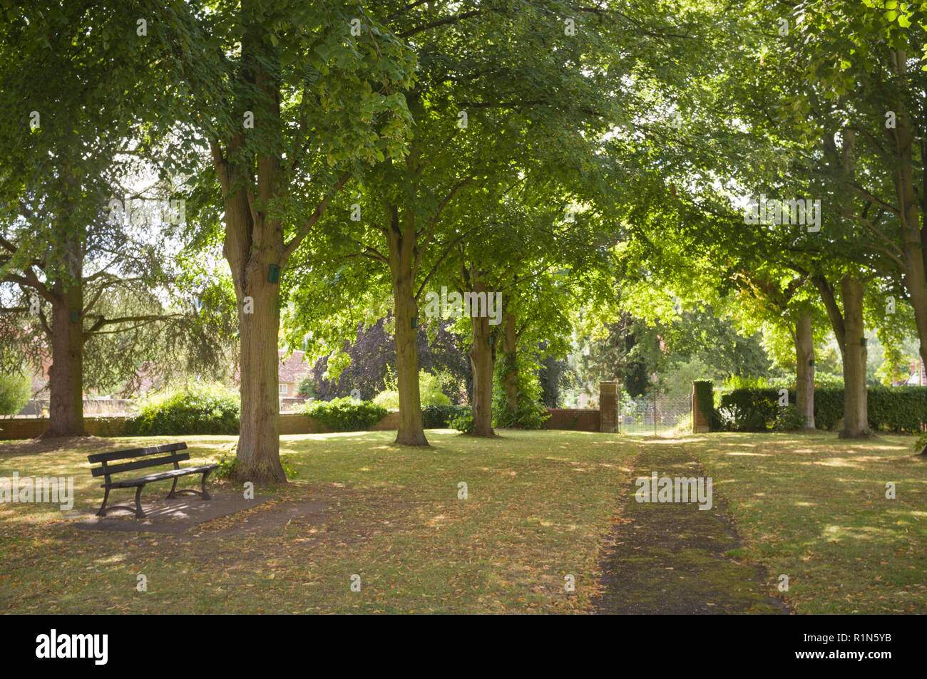Shaded park bench hi-res stock photography and images - Alamy