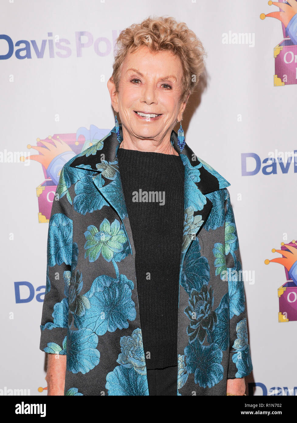 New York, NY - November 5, 2018: Dena Hammerstein attends the 2018 Only ...