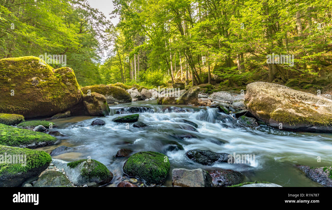 Beautiful river in forest nature. Peaceful toned nature background ... Beautiful river in forest nature. Peaceful toned nature background ...