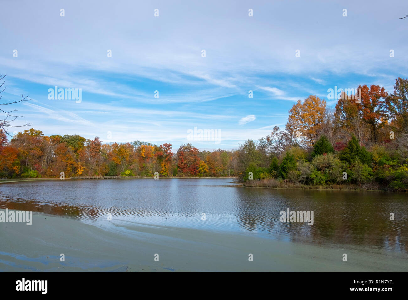 Fall Colors at Sharon Woods Stock Photo - Alamy