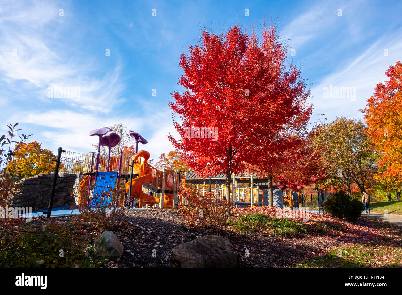Fall Colors at Sharon Woods Stock Photo - Alamy