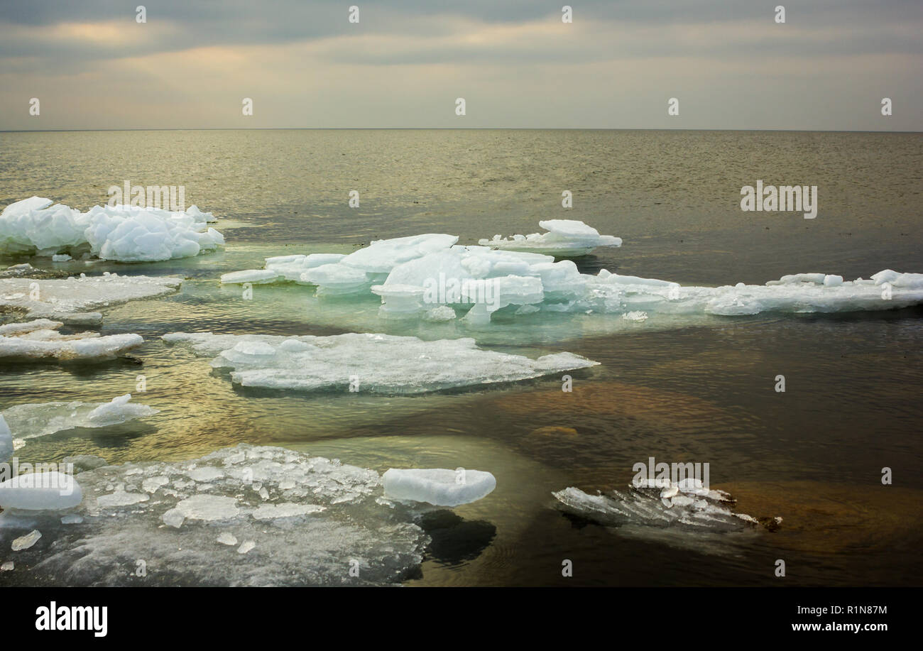 Baltic Sea Beach with Ice Floating in a Water, through Natural Frame of ...