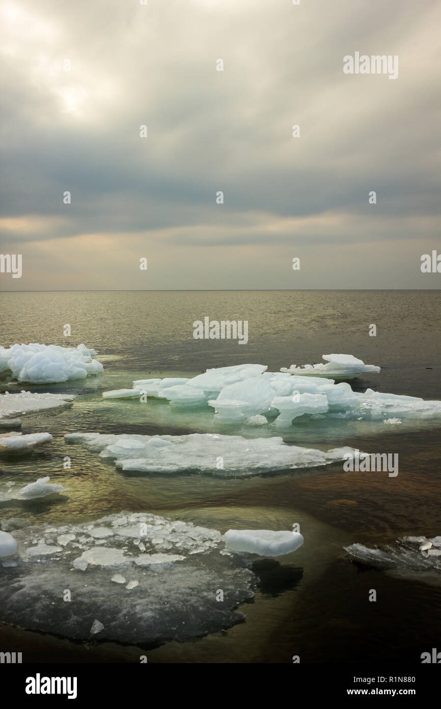 Baltic Sea Beach with Ice Floating in a Water, through Natural Frame of ...