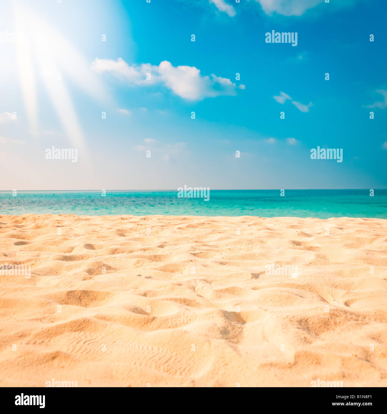 Square format of sea sand sky concept, sun rays and tranquil beach ...